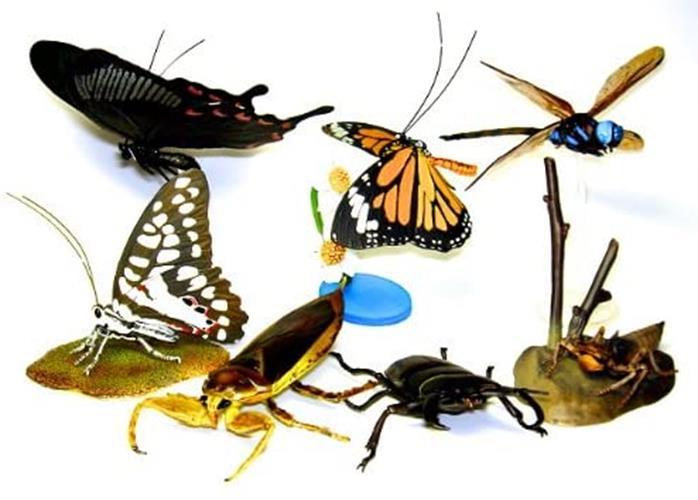 Takara TOMY Yujin The insect of Japan in Color Gashapon figure Part 3 ...
